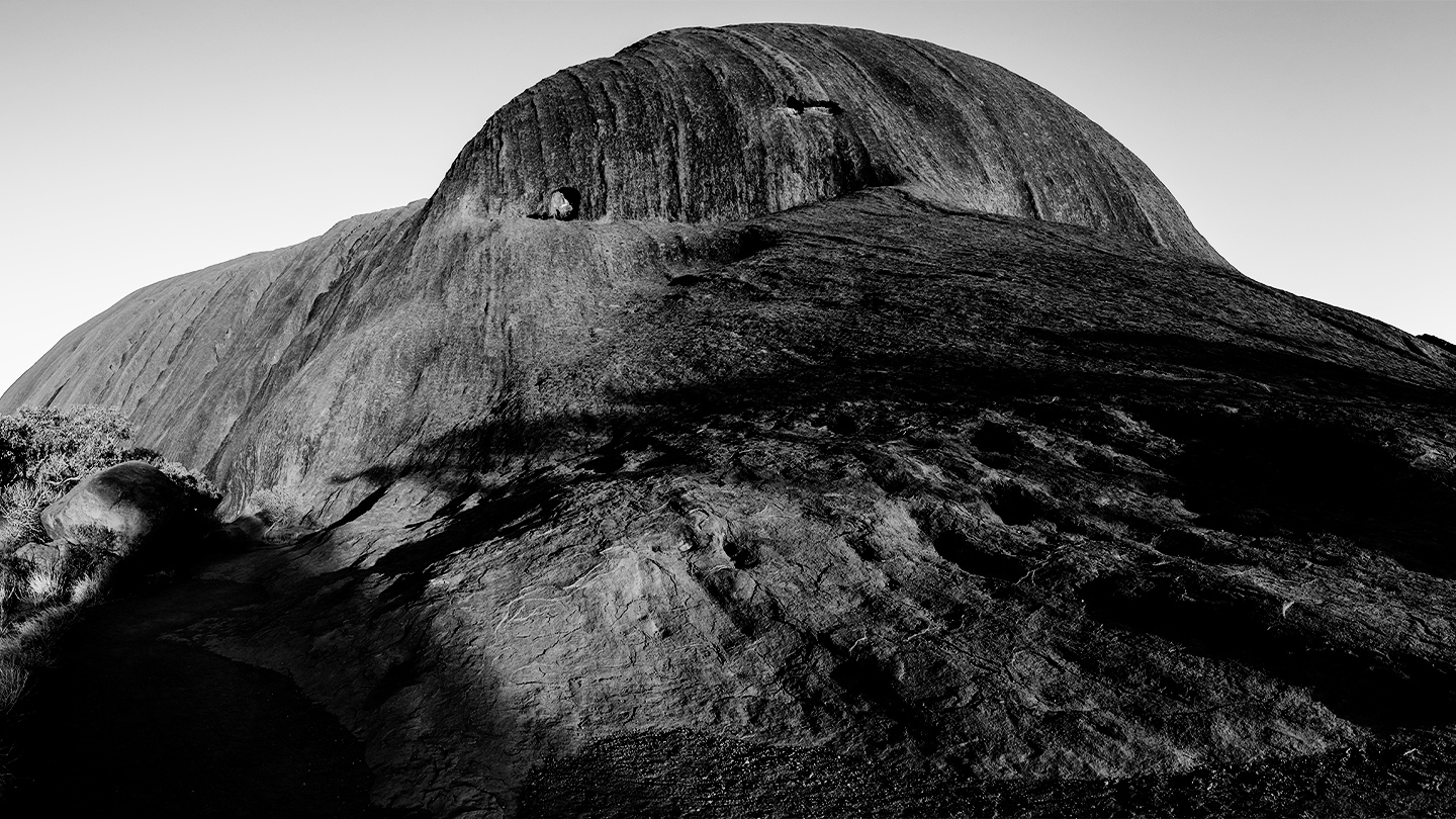 Roger Milliss, 'Waterloo Creek: the Australia Day Massacre of 1838 ...